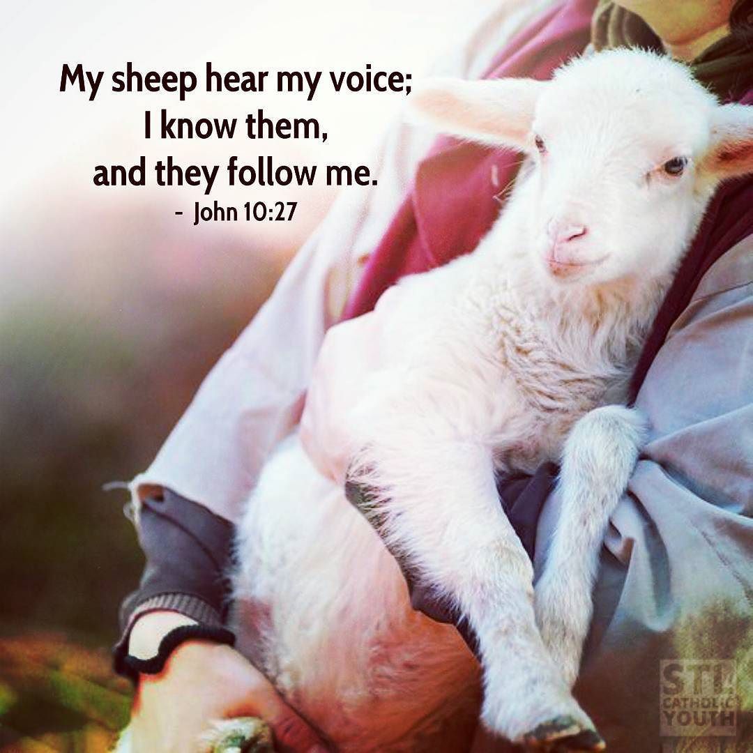Feed My Sheep | God Is Our Refuge And Strength